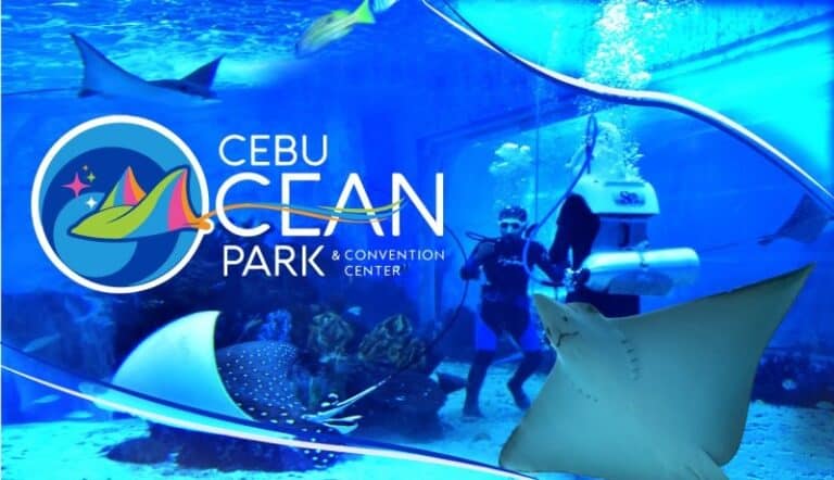 8 Best Theme Parks and Adventure Parks in Cebu