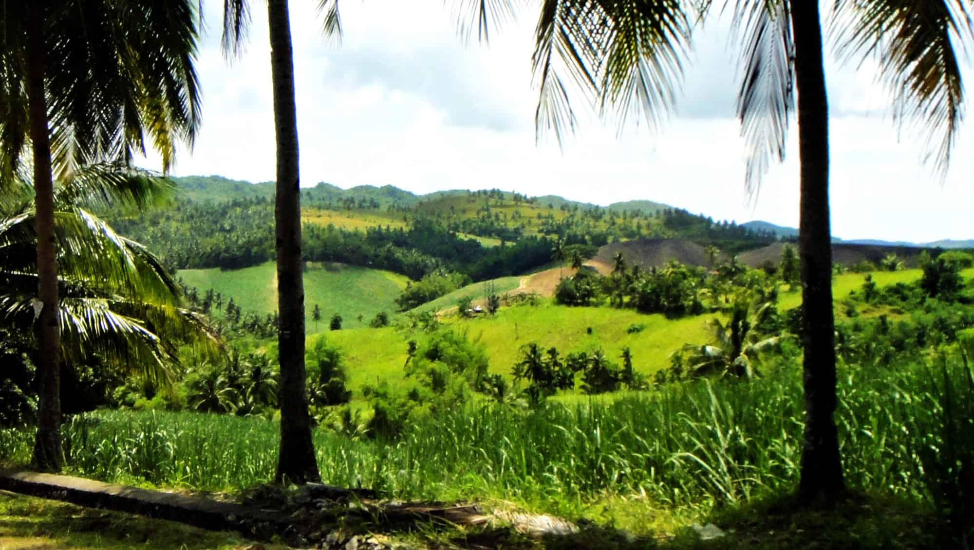 Best 10 Must-See Tourist Spots in North Cebu for 2024