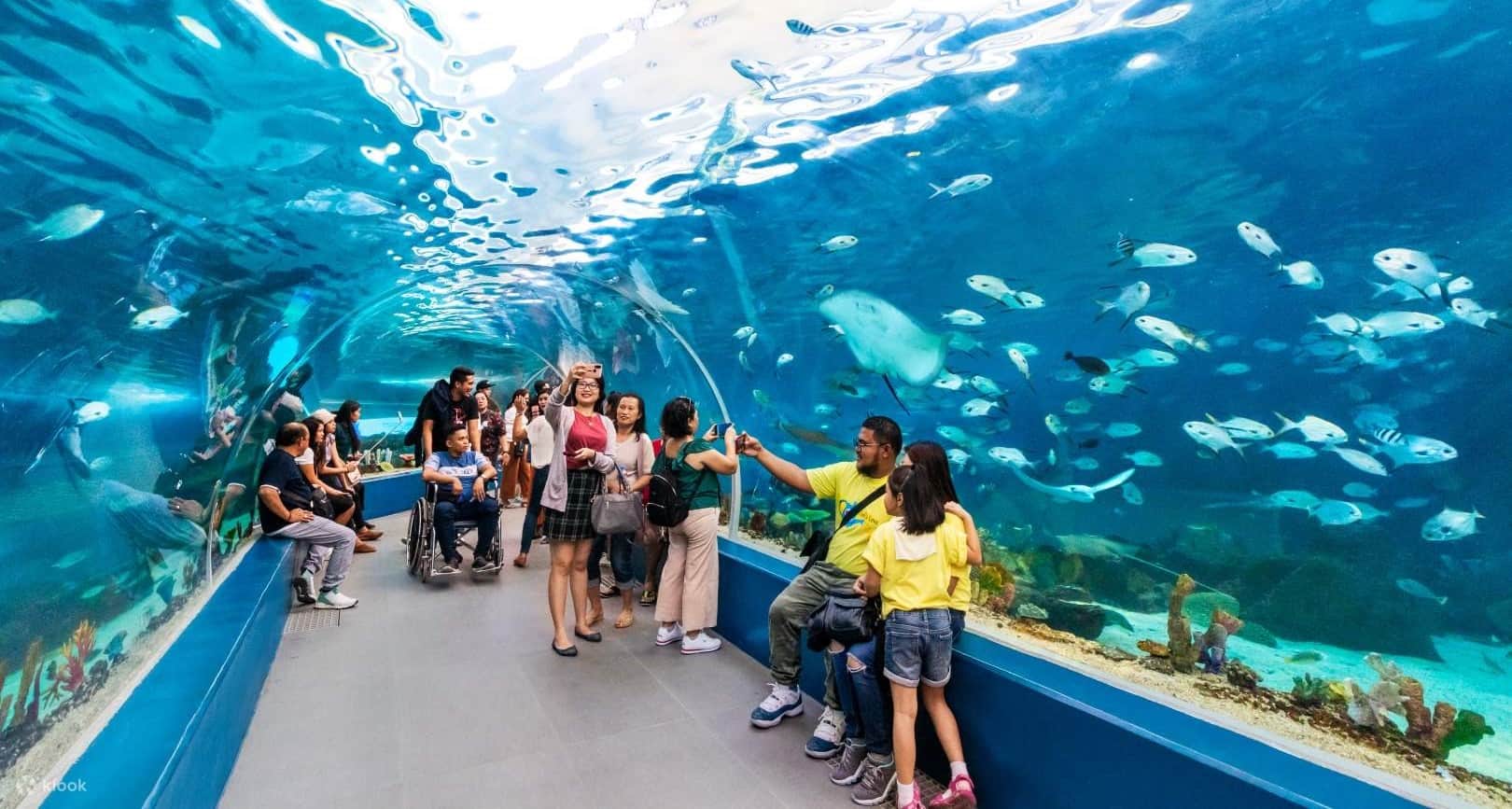 Cebu Ocean Park 2024 Guide & Review! - Philippines Unleashed